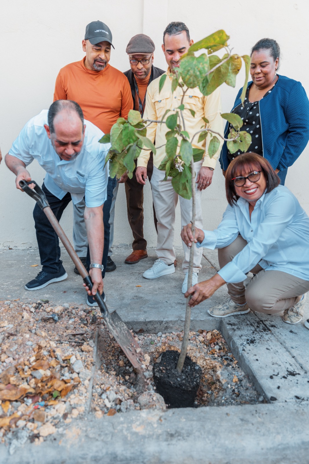 Alcaldía del DN y regidores plantan árboles junto a estudiantes en ...